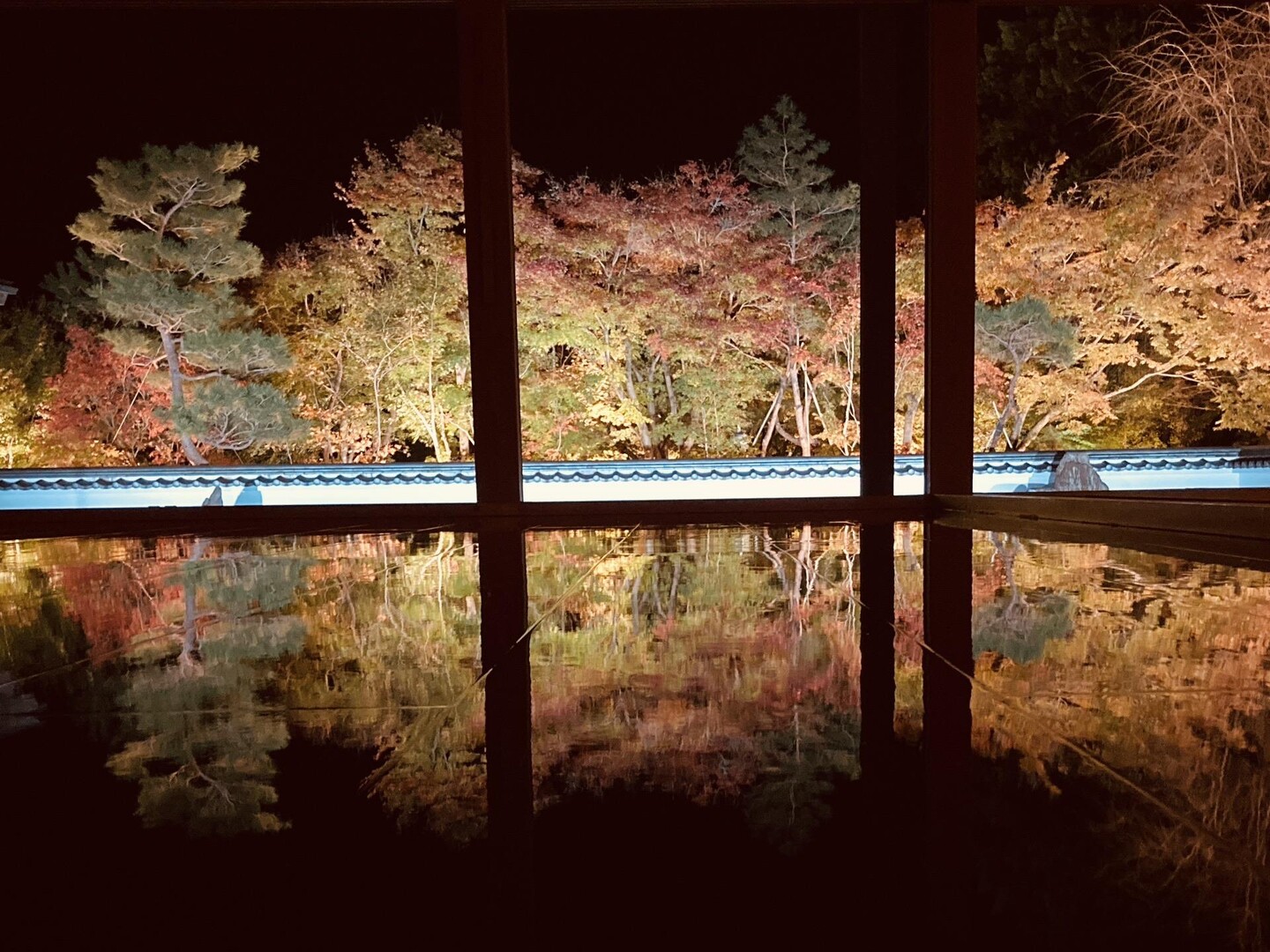 宝徳寺ライトアップ紅葉🍁 / papeさんの鳴神山・吾妻山の活動データ | YAMAP / ヤマップ