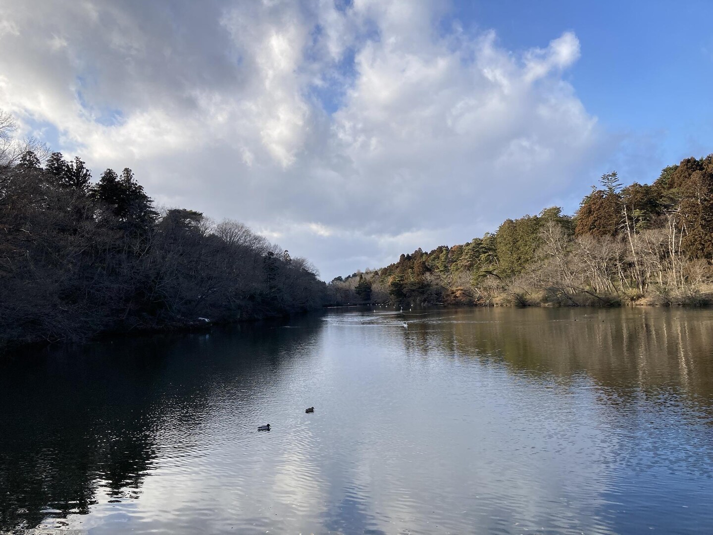 こんにちは^ ^ 今日は暖かい1日です... / OBsunさんのモーメント | YAMAP / ヤマップ