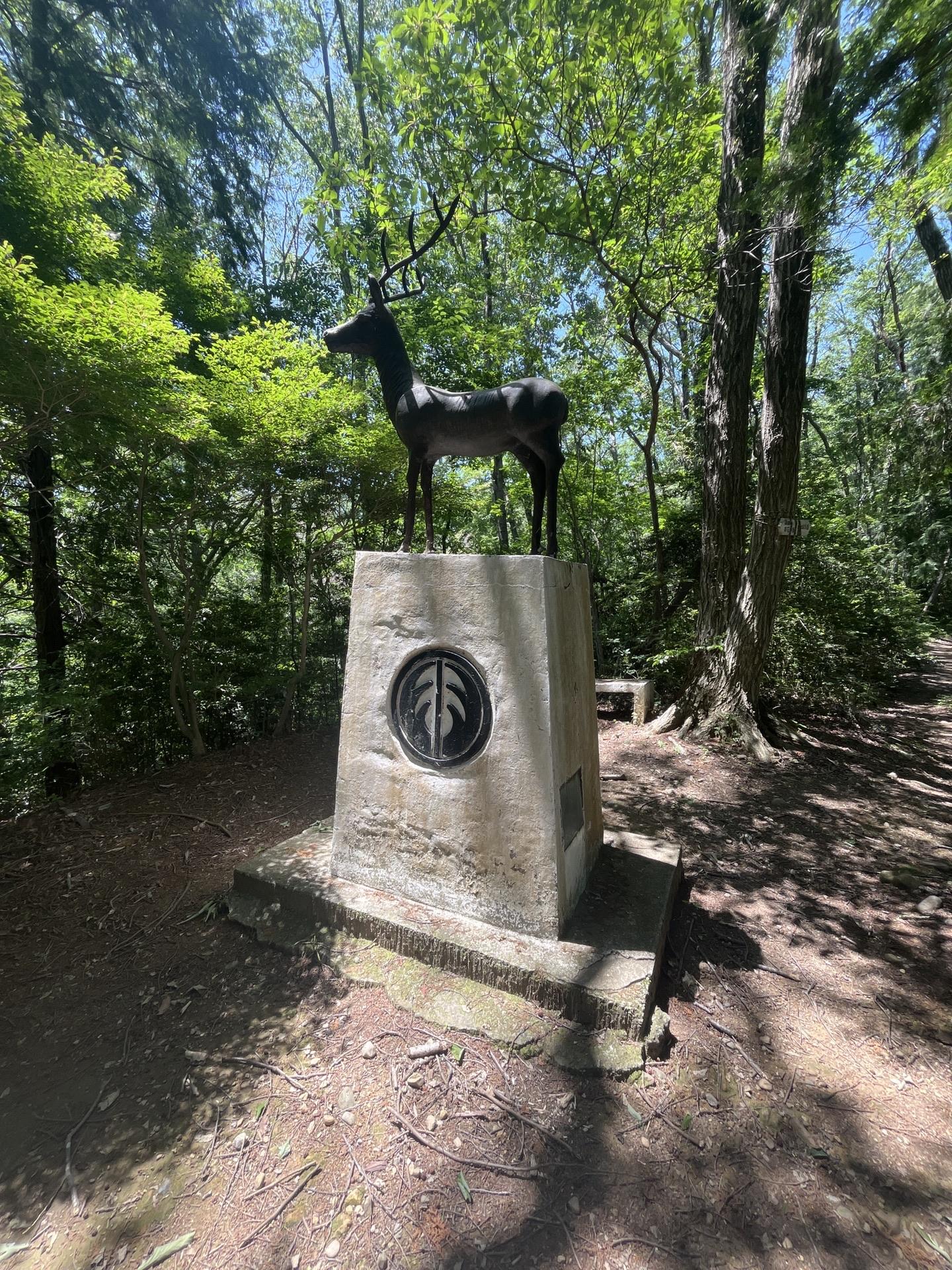 大澄山・朝日山・浅間岳 / Lee Vickyさんの赤ぼっこの活動データ | YAMAP / ヤマップ