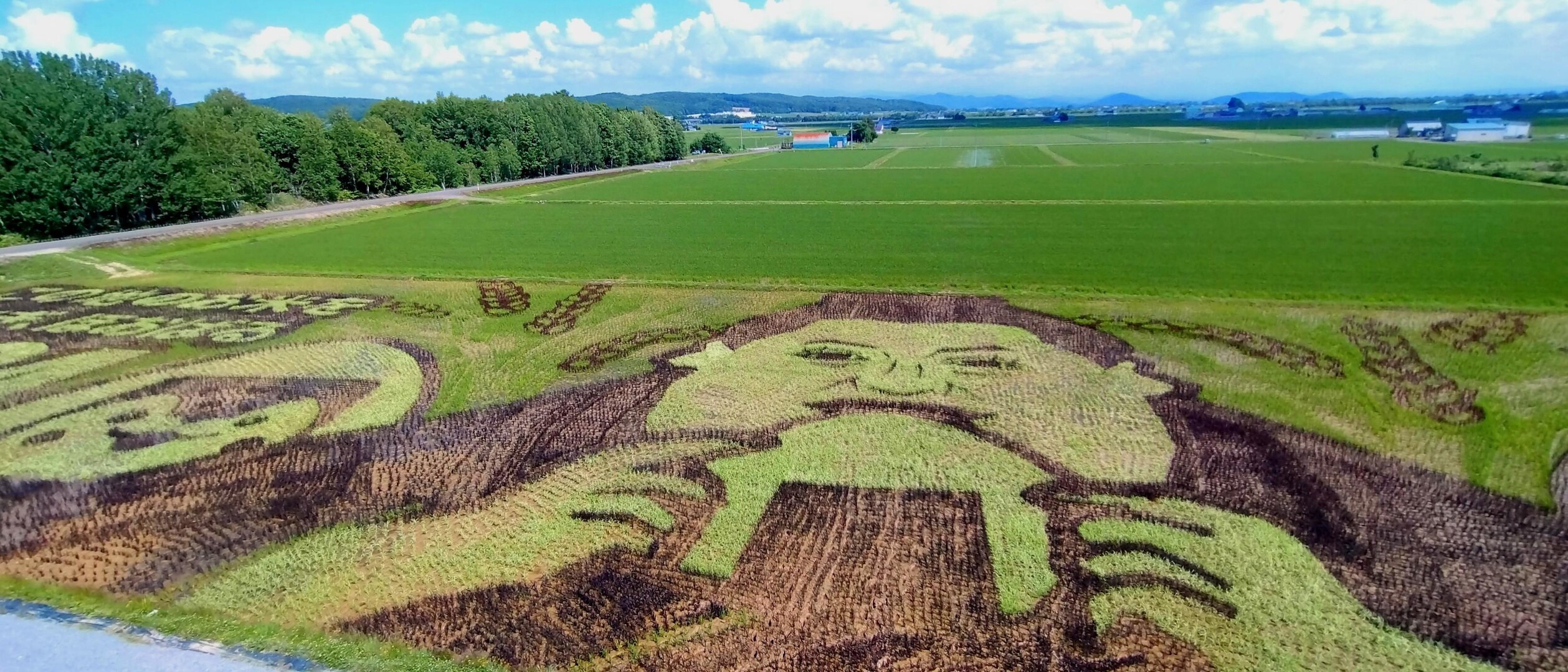 鬼斗牛山🔥暑熱馴致 / kiyo-ibaさんの鬼斗牛山の活動データ | YAMAP / ヤマップ
