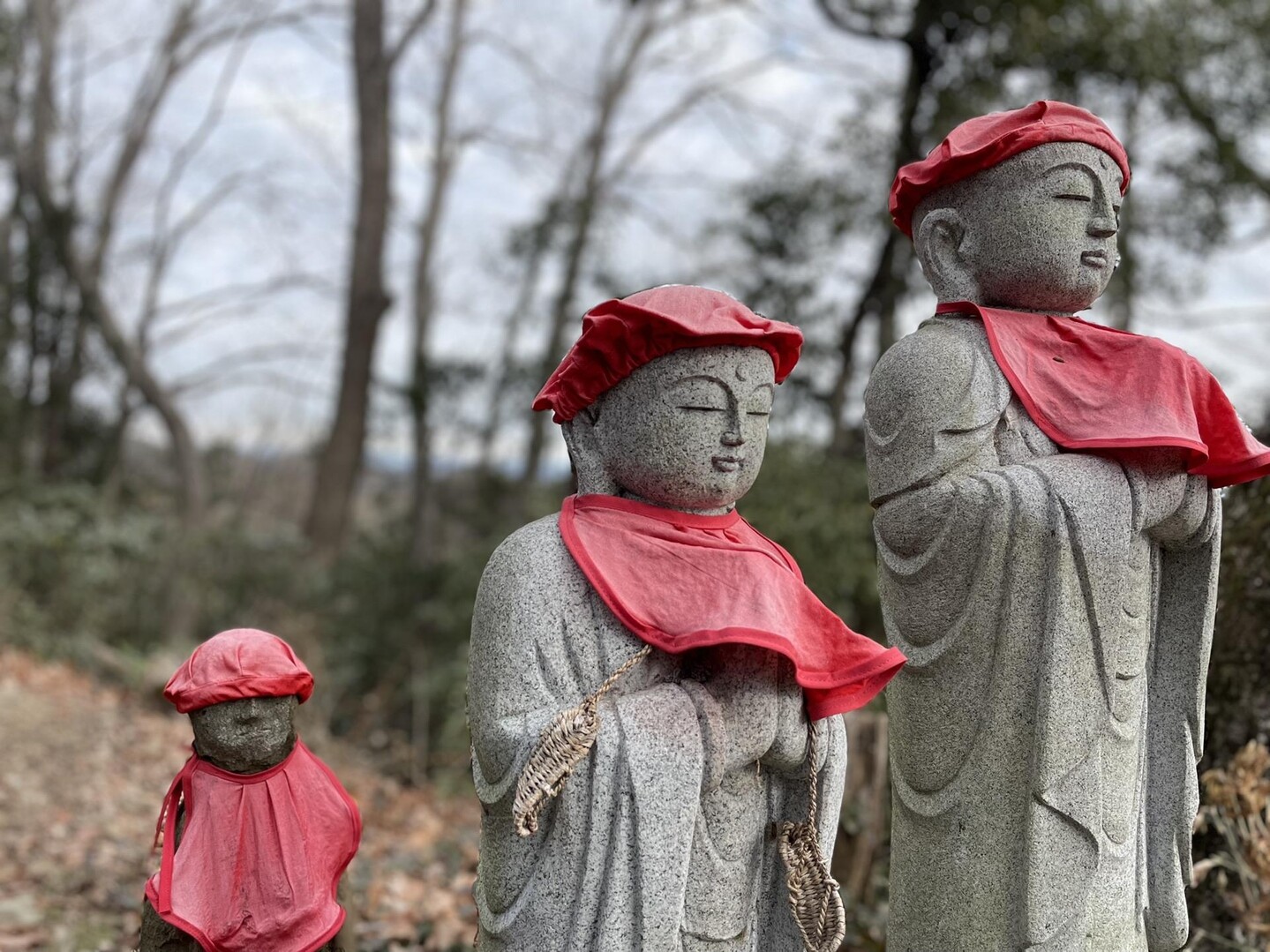 さくっと北高尾山稜(地蔵峰〜板当山) / ririさんの高尾山・陣馬山・景信山の活動データ | YAMAP / ヤマップ
