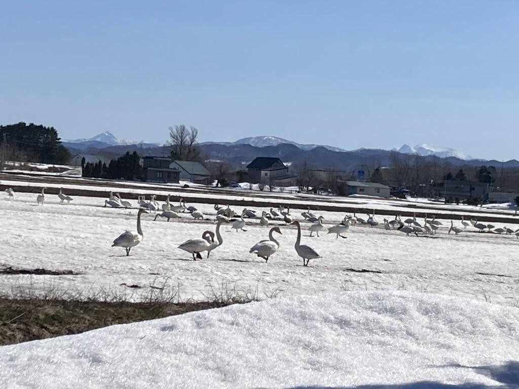 萩の山 スキー / Moroさんの利根別自然公園の活動データ | YAMAP / ヤマップ