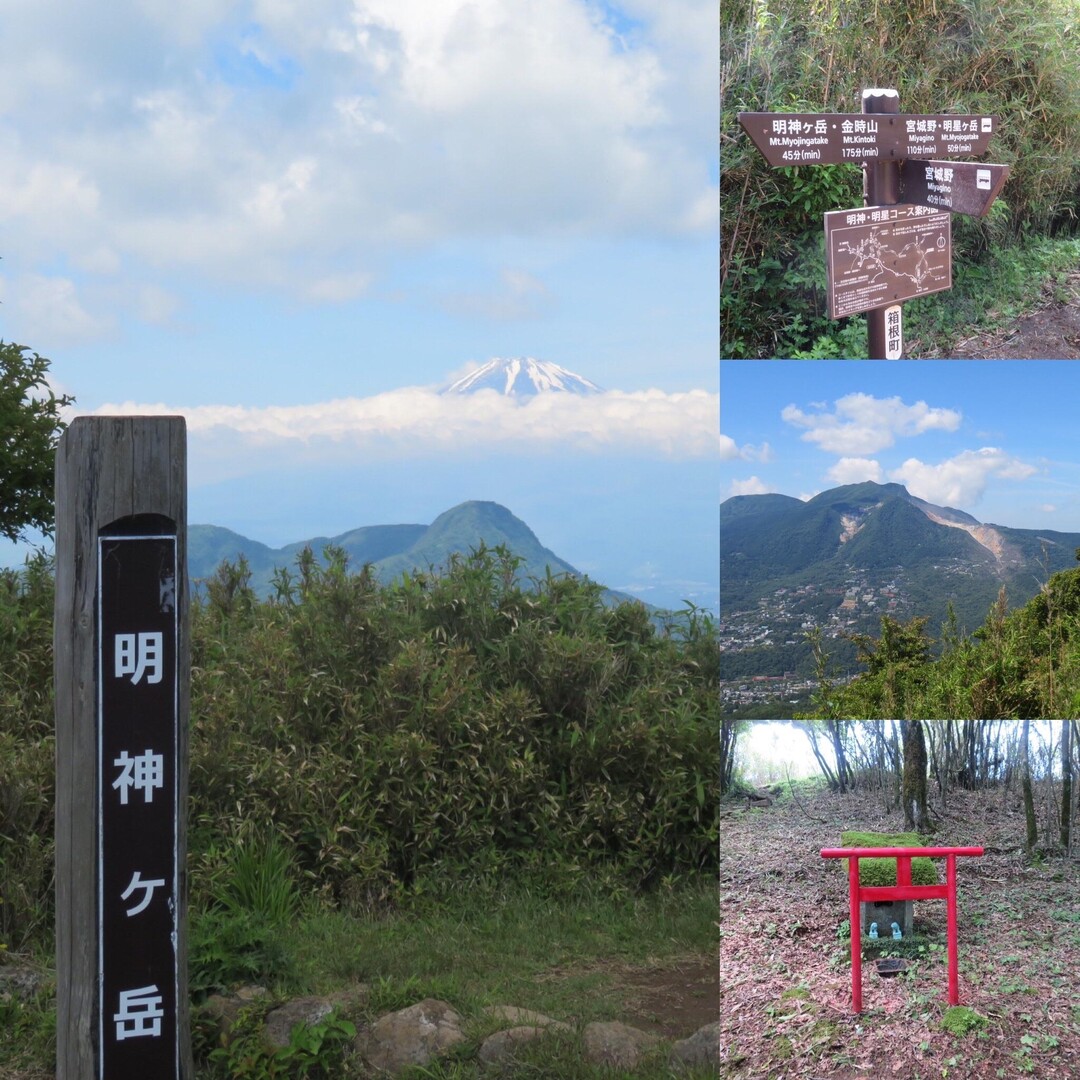 のんびりと明神ヶ岳（1,169m）de 富士山 / ♬dongoro♬さんの金時山・明神ヶ岳の活動データ | YAMAP / ヤマップ