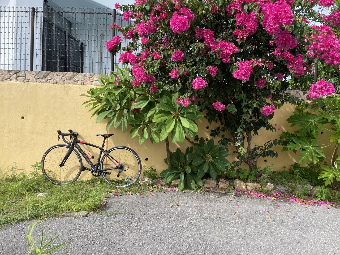 先週末ride 曇りでわりと涼しかったし... / sae.irisさんのモーメント | YAMAP / ヤマップ