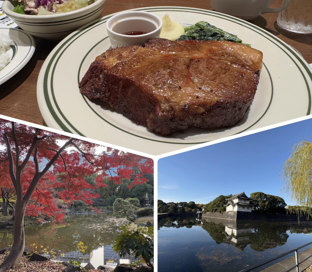 大手町〜三笠山〜つつじ山〜有楽町 / MAYUMIさんの東京都23区 中央エリアの活動データ | YAMAP / ヤマップ