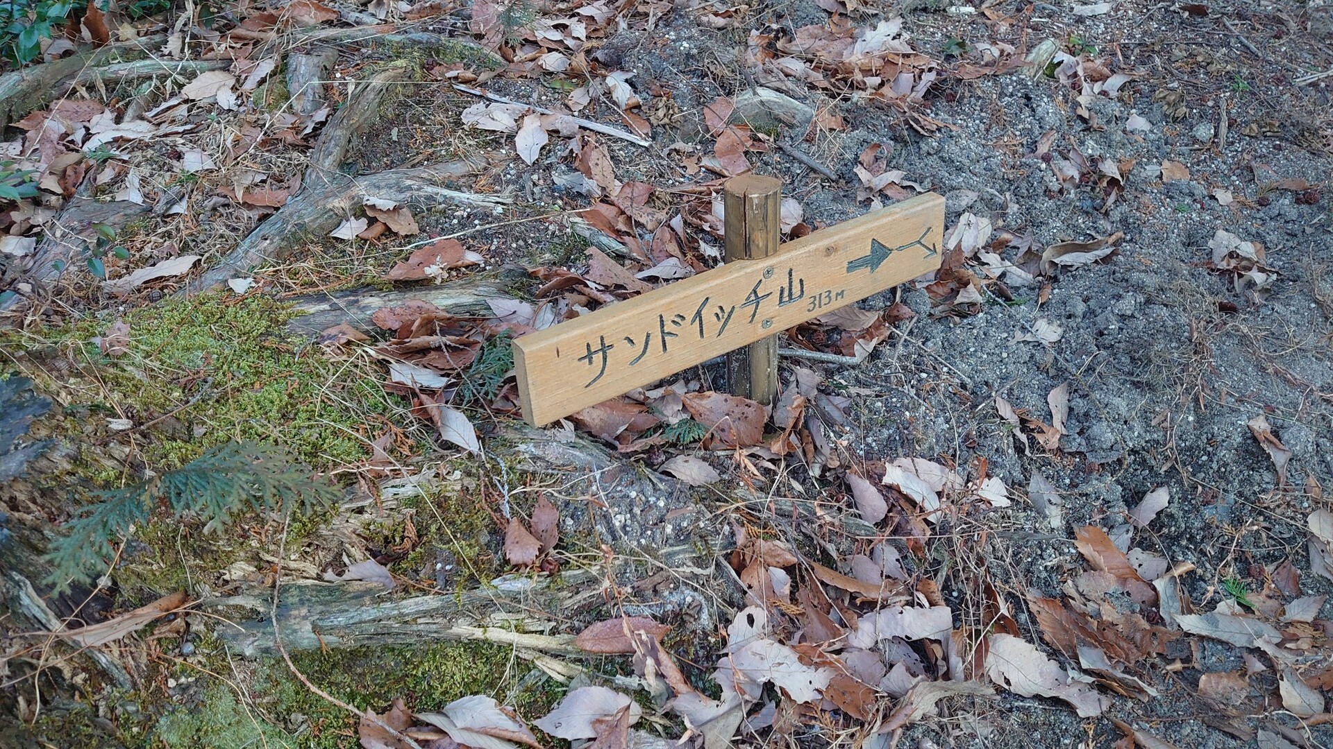 SAMちゃんさんの投稿したフィールドメモ | YAMAP / ヤマップ