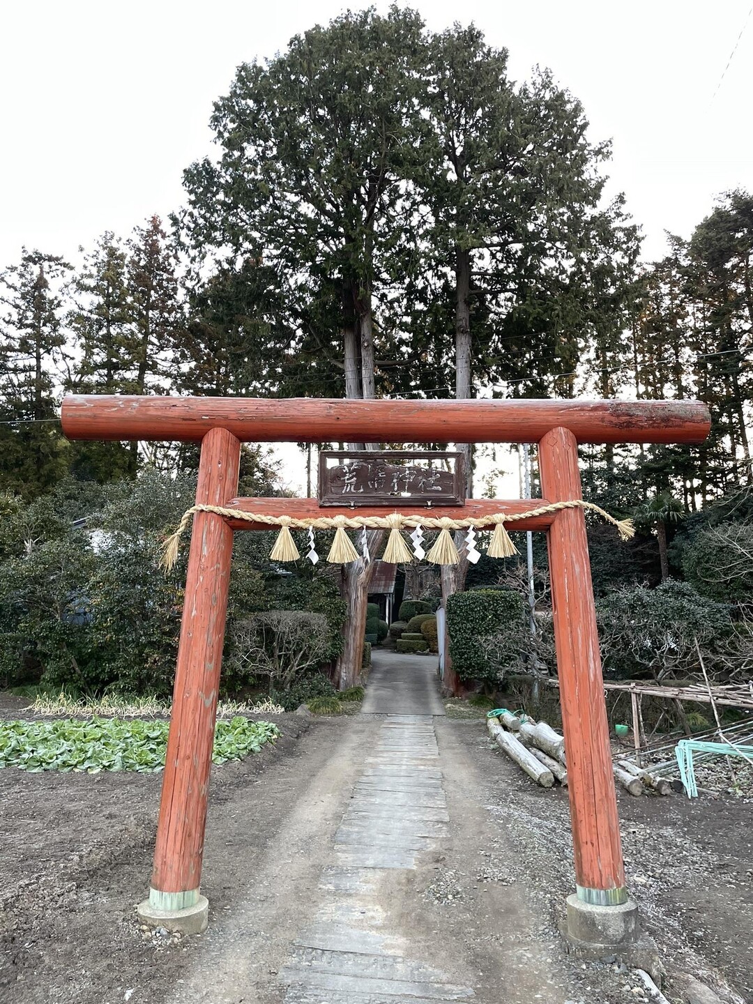 2024.01.02（火） 明けましてお... / lily crankyさんのモーメント | YAMAP / ヤマップ