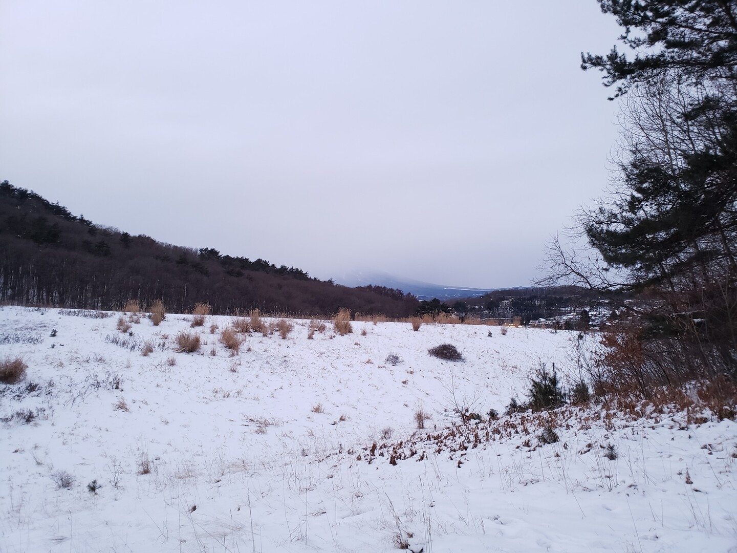小鹿公園 スノーハイク / ken5bt（冬灯り静かに火照る吾が心🔥まだ夏眠中😴）さんのスキーの活動データ | YAMAP / ヤマップ