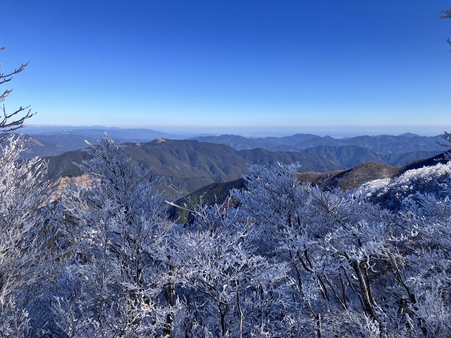 三峰山 / takuさんの三峰山・学能堂山・栗ノ木岳の活動データ | YAMAP / ヤマップ