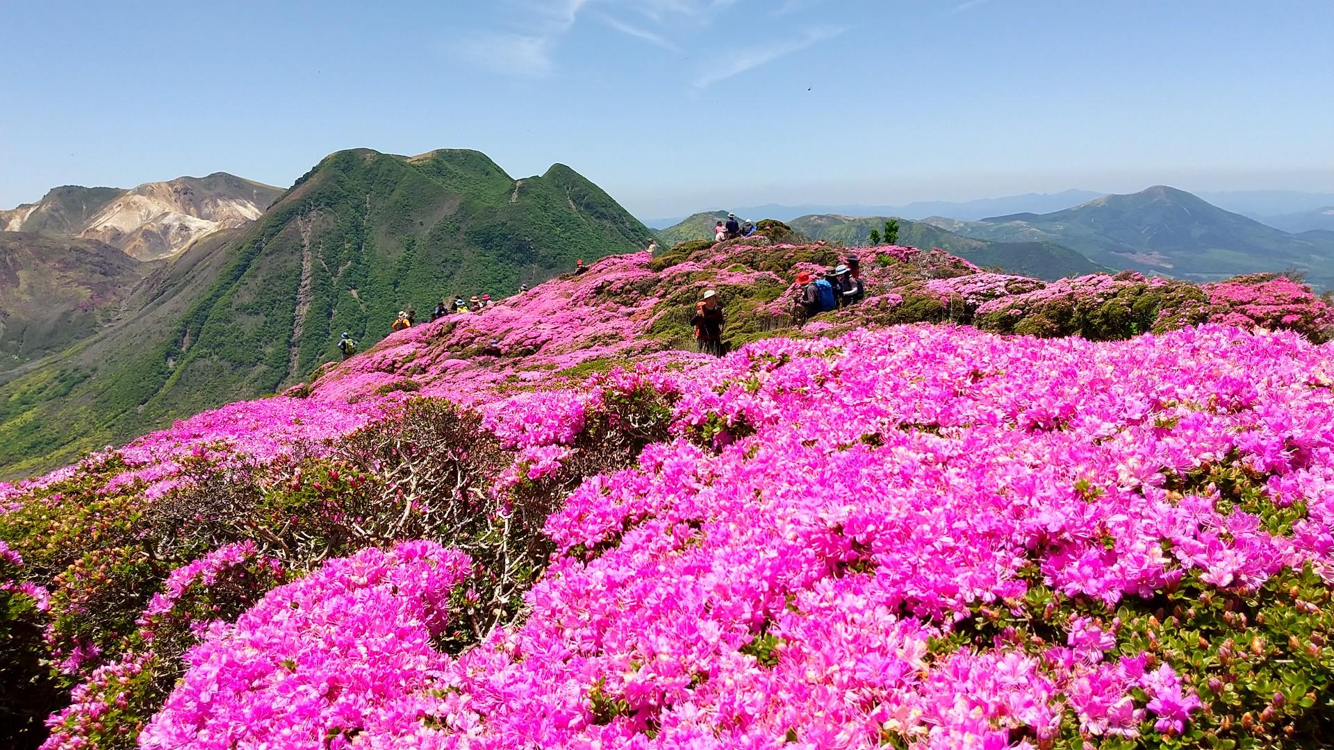 MKで人だかり / mountzen さんの九重山（久住山）・大船山・星生山の活動データ | YAMAP / ヤマップ