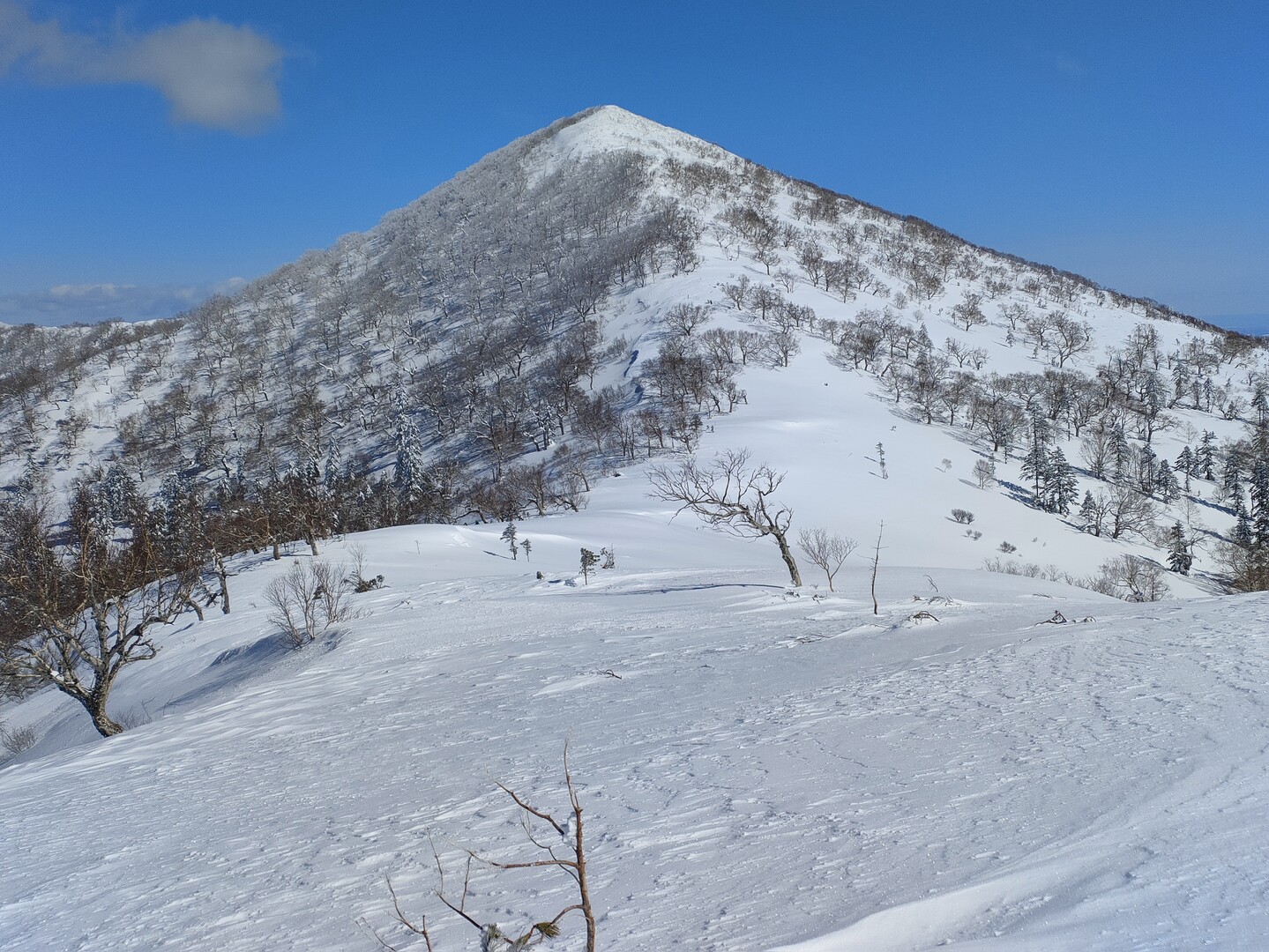 ラッセルの後は快晴の狩振岳 / maekaoさんの熊見山の活動データ | YAMAP / ヤマップ