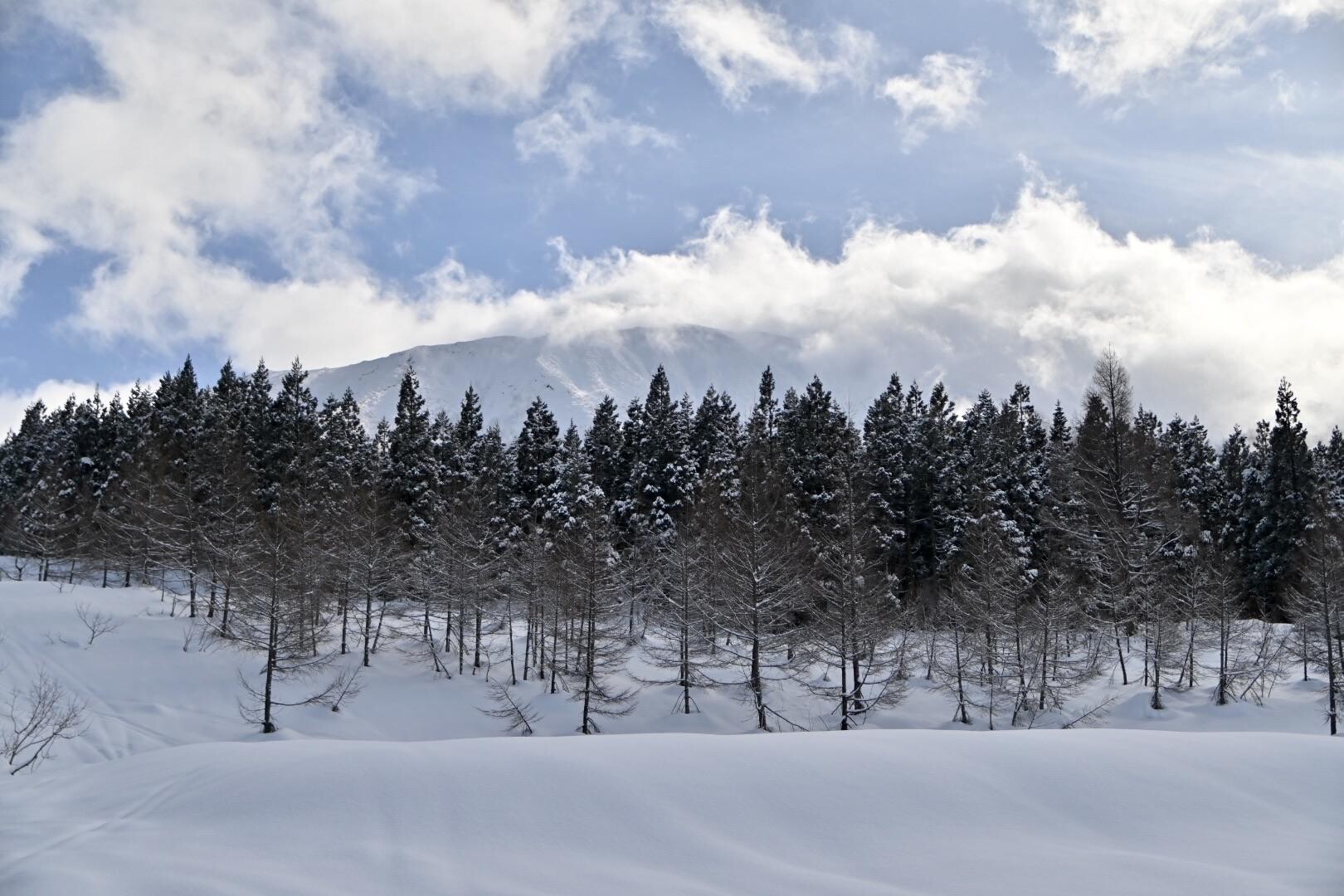 秋田駒ヶ岳(アルパこまくさ〜1260mあたりまで) / me_holicさんの秋田駒ヶ岳・男女岳・貝吹岳の活動データ | YAMAP / ヤマップ