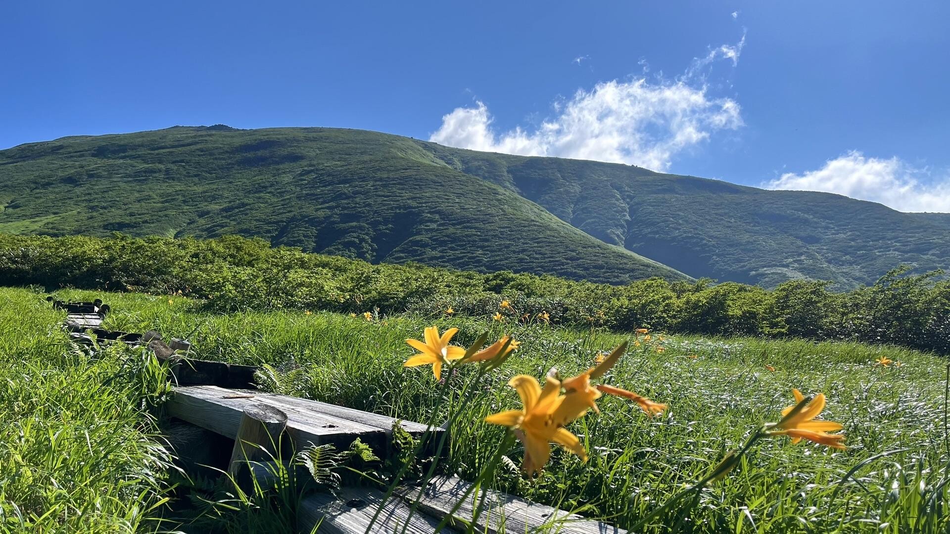 夏の月山 / Hassyさんの月山の活動データ | YAMAP / ヤマップ