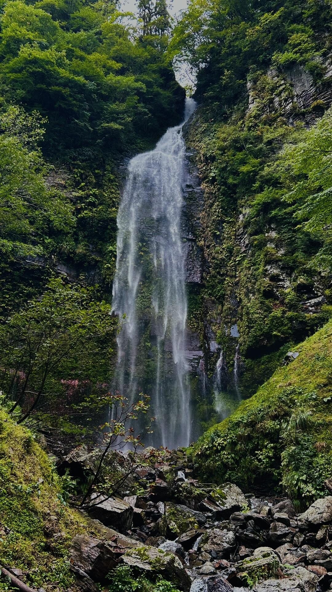 霧が滝 / えっちゃんさんの扇ノ山の活動日記 | YAMAP / ヤマップ
