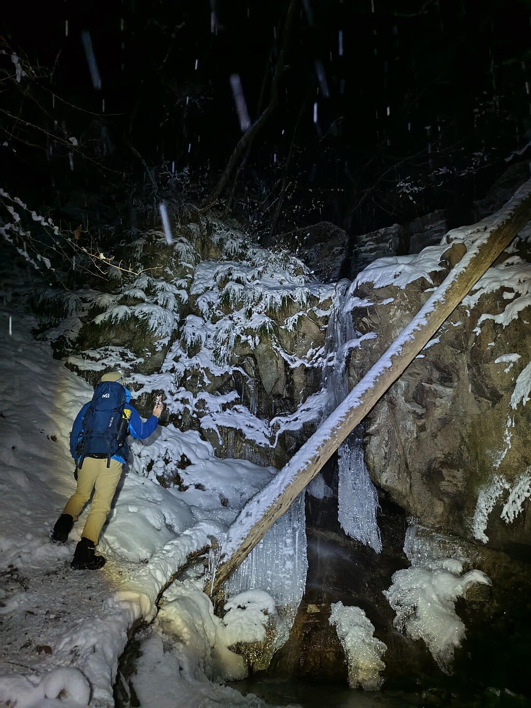 金剛山 もみじ谷⤴ガンドガコバ林道⤵ / PAGUさんの葛城修験エリアマップ（金剛山周辺）の活動データ | YAMAP / ヤマップ
