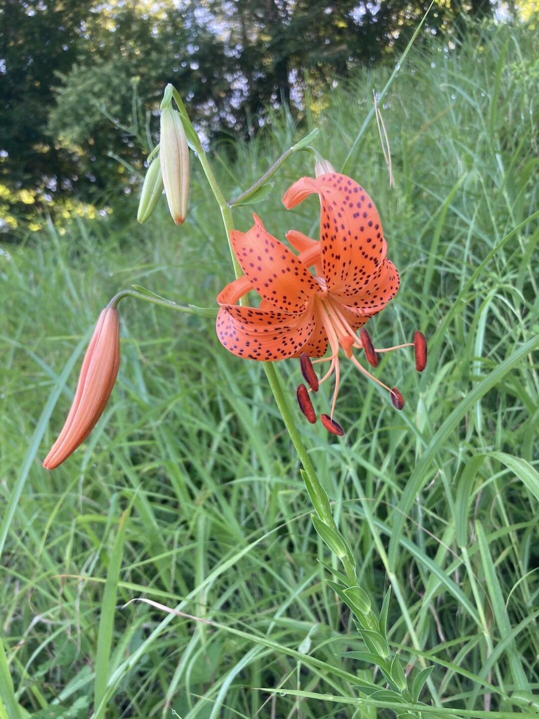 三峯山 / John Doeさんの聖山の活動データ | YAMAP / ヤマップ