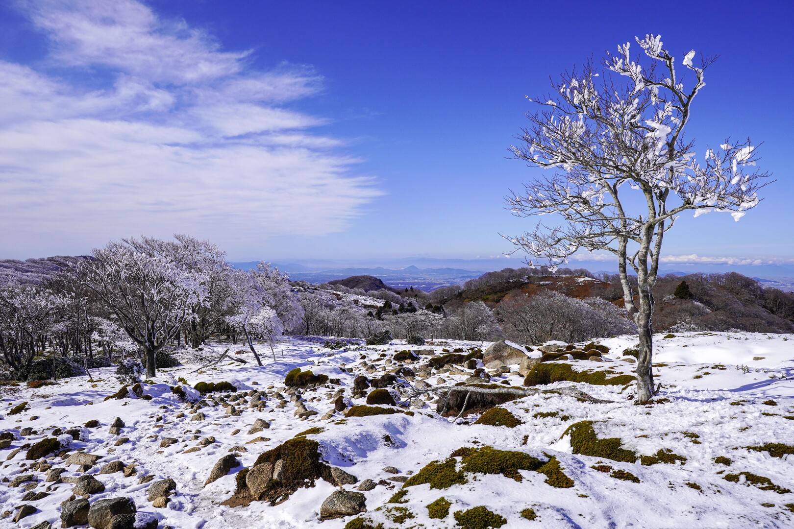 銚子ヶ口 イブネ 縦走 (奥永源寺渓流の里-銚子ヶ口-イブネ-杉峠-甲津畑) / petit-princeさんの御在所岳（御在所山）・雨乞岳の活動データ | YAMAP / ヤマップ