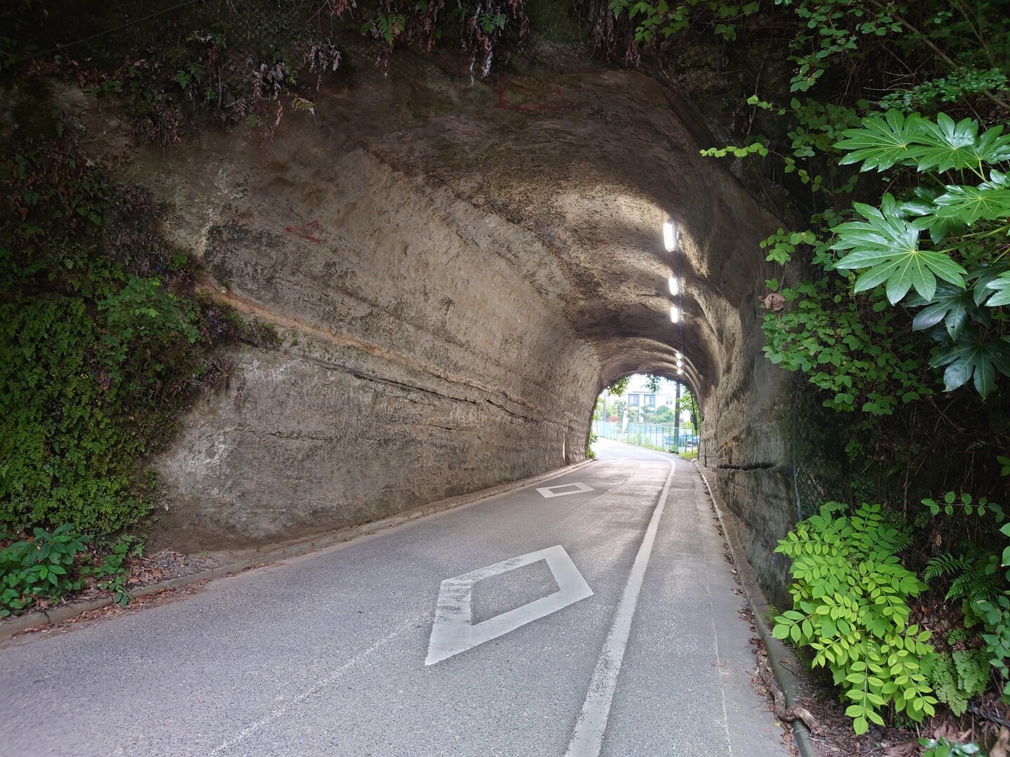 思い立ったら山越え～そうだ、晩飯カレーにしよう。 / ANCさんの鎌倉市の活動データ | YAMAP / ヤマップ