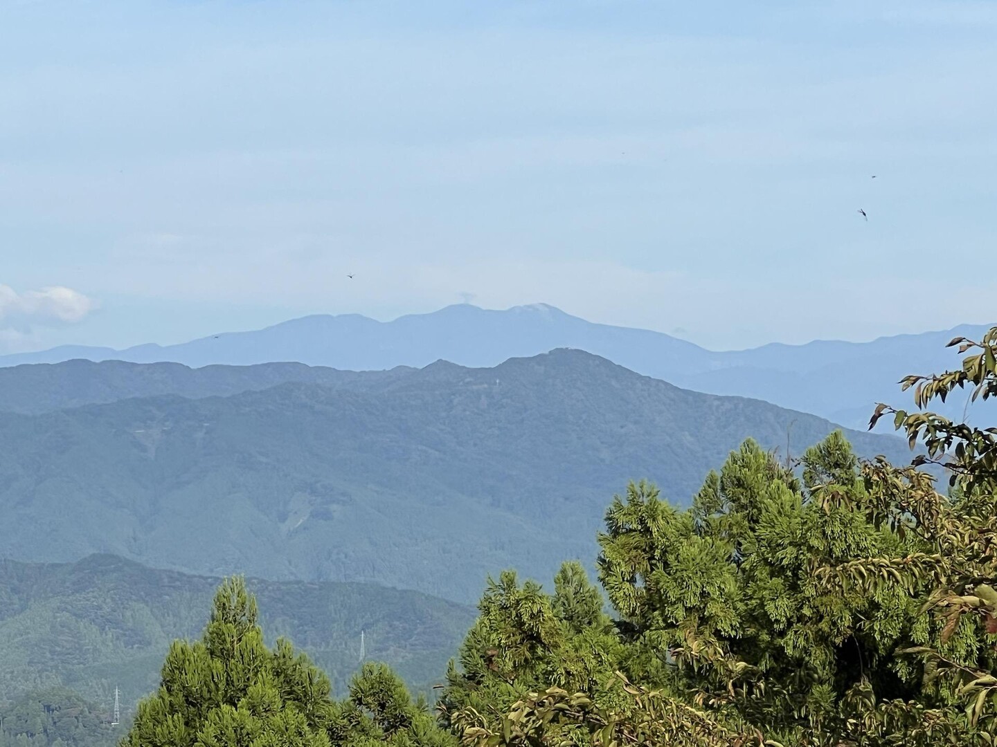 文殊山 / SAMさんの文殊山の活動データ | YAMAP / ヤマップ