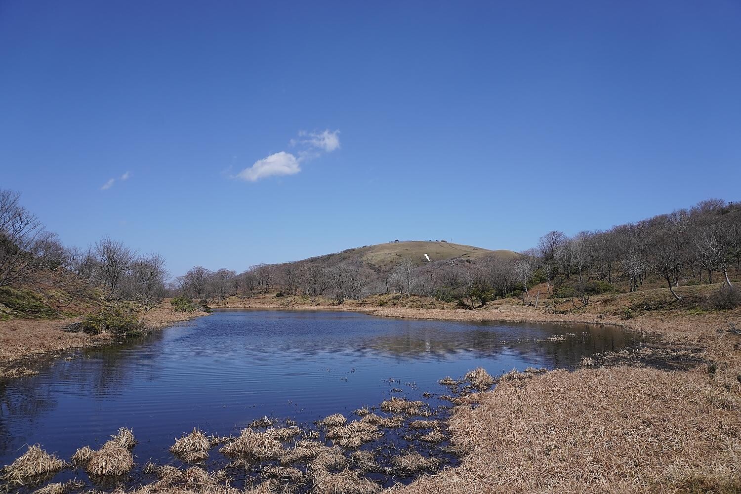 権現山から蓬莱山、小女郎ヶ池 / club-gakuさんの比良山地・武奈ヶ岳・釈迦岳の活動データ | YAMAP / ヤマップ