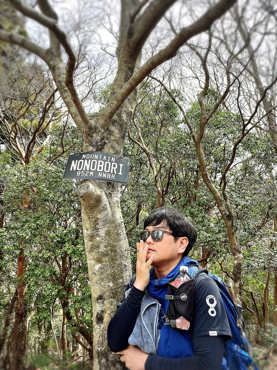 野登山 / Takayukiさんの入道ヶ岳・鎌ヶ岳・仙ヶ岳の活動データ | YAMAP / ヤマップ