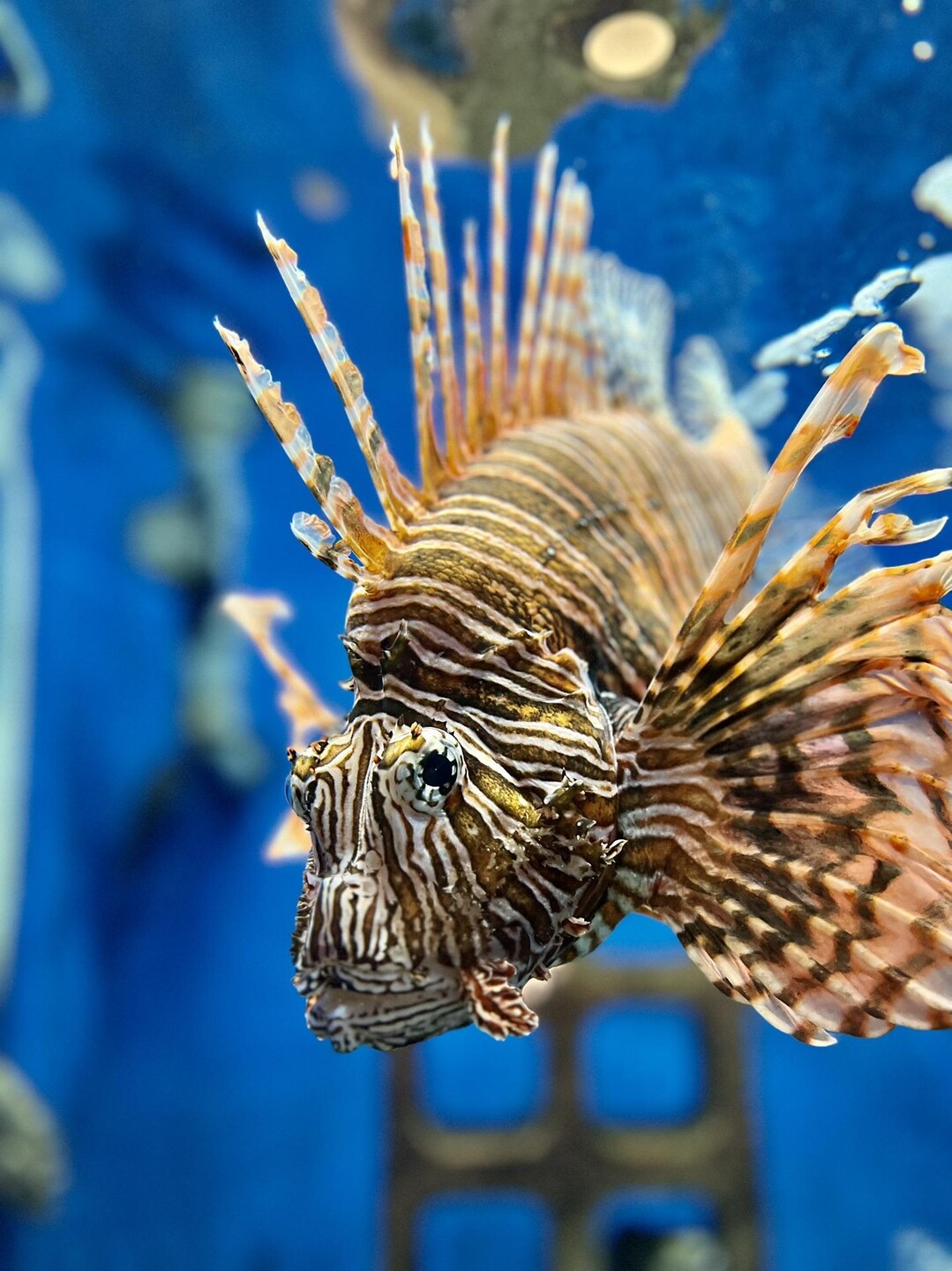 南方熊楠記念館と京都大学白浜水族館の番所... / iris さんのモーメント | YAMAP / ヤマップ