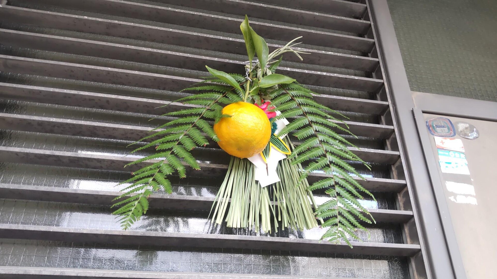 2024.12.29(日) 03:52 / mituo-mさんのモーメント | YAMAP / ヤマップ