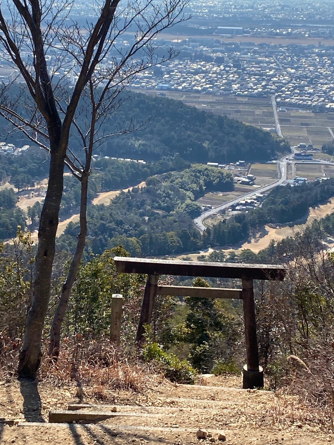 権現山シリーズ / tamakoyさんの各務原アルプス（関南アルプス）・八木三山の活動データ | YAMAP / ヤマップ