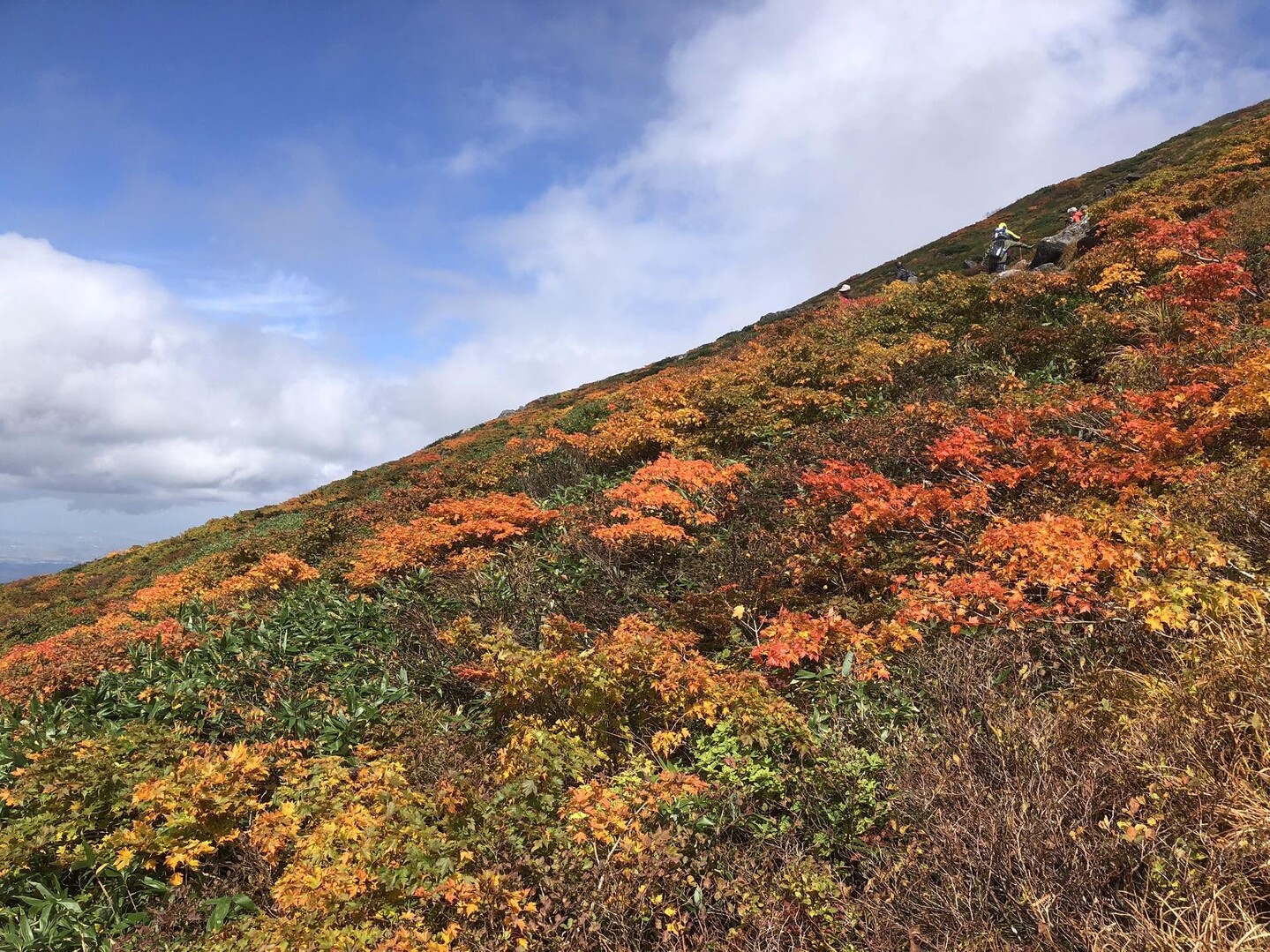 月山-2023-10-03 / muneさんの月山の活動日記 | YAMAP / ヤマップ