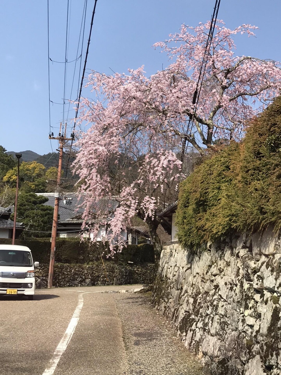 比叡山ITR試走-2024-03-31 / 湖北の狐さんのウォーキングの活動データ | YAMAP / ヤマップ