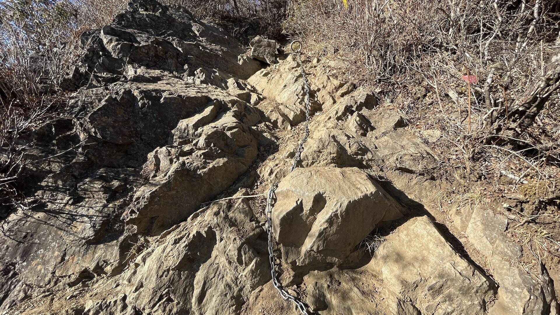 KSさんの投稿したフィールドメモ | YAMAP / ヤマップ