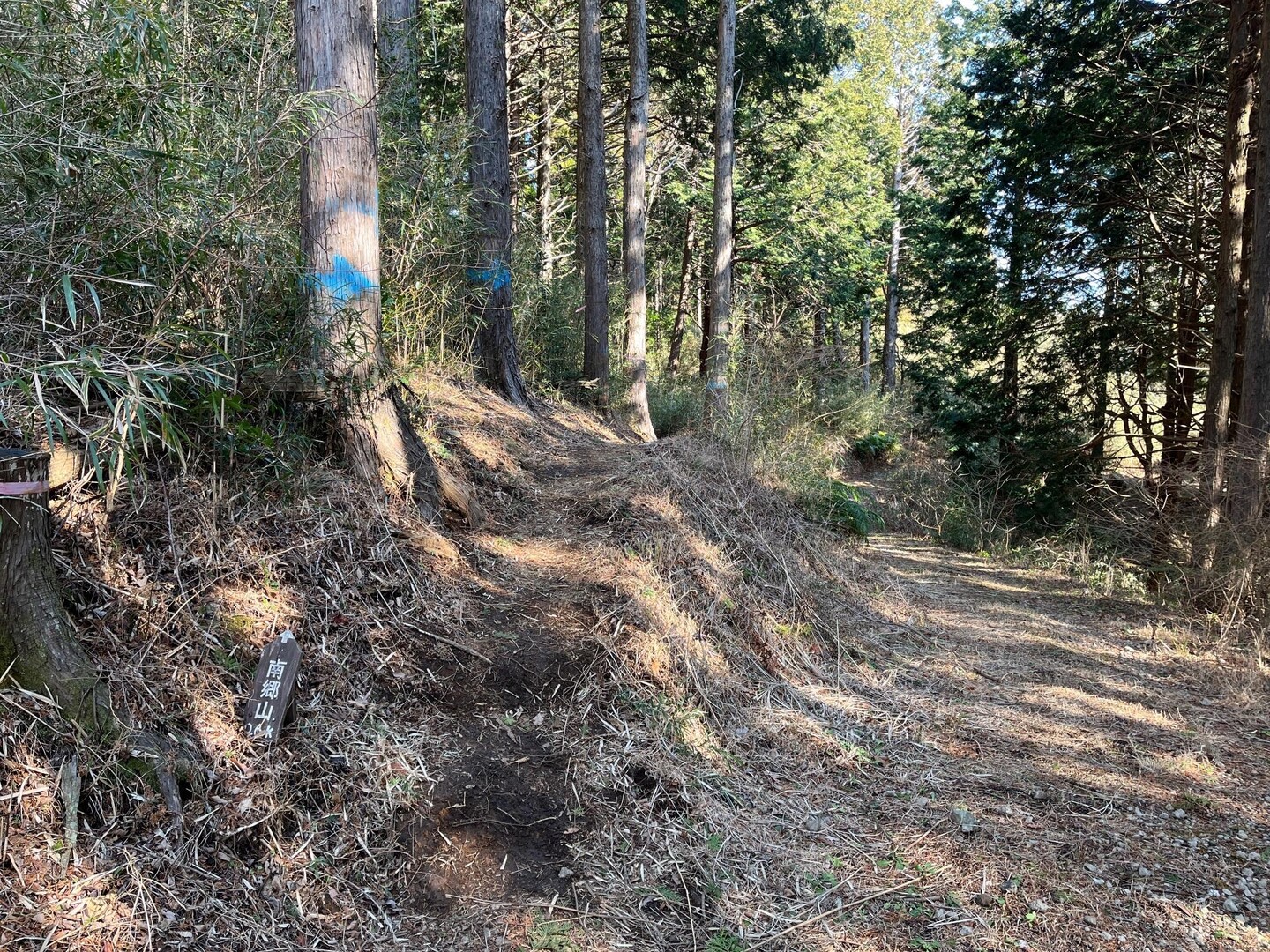 Ryo Konoさんの投稿したフィールドメモ | YAMAP / ヤマップ