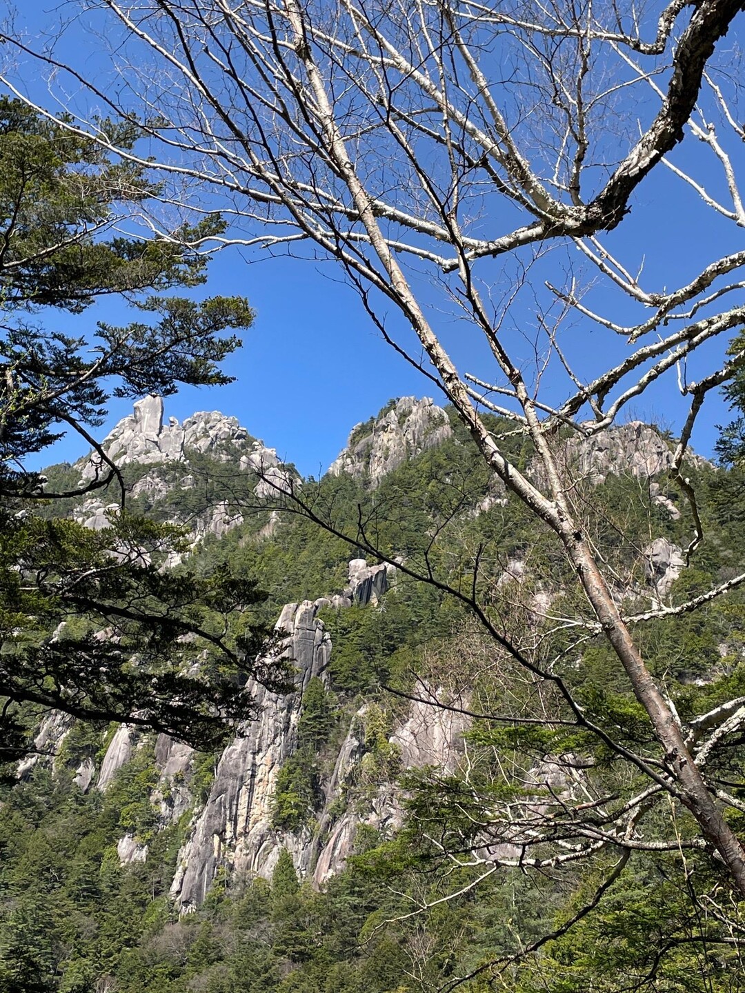 テン泊デビューは瑞牆山 / HajiManaさんの瑞牆山・金峰山の活動データ | YAMAP / ヤマップ