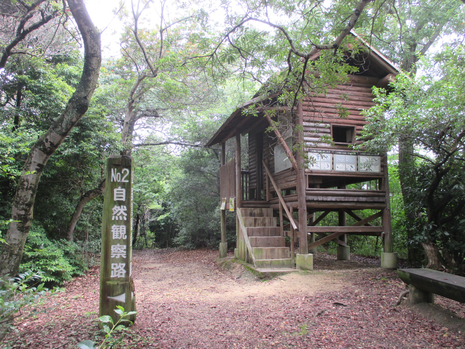 鴻巣山～太陽ヶ丘 / くじゃく草さんの鴻ノ巣山の活動日記 | YAMAP / ヤマップ