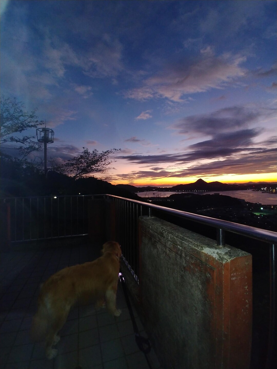 天神山 / marupaさんの烏帽子岳・木場山の活動データ | YAMAP / ヤマップ