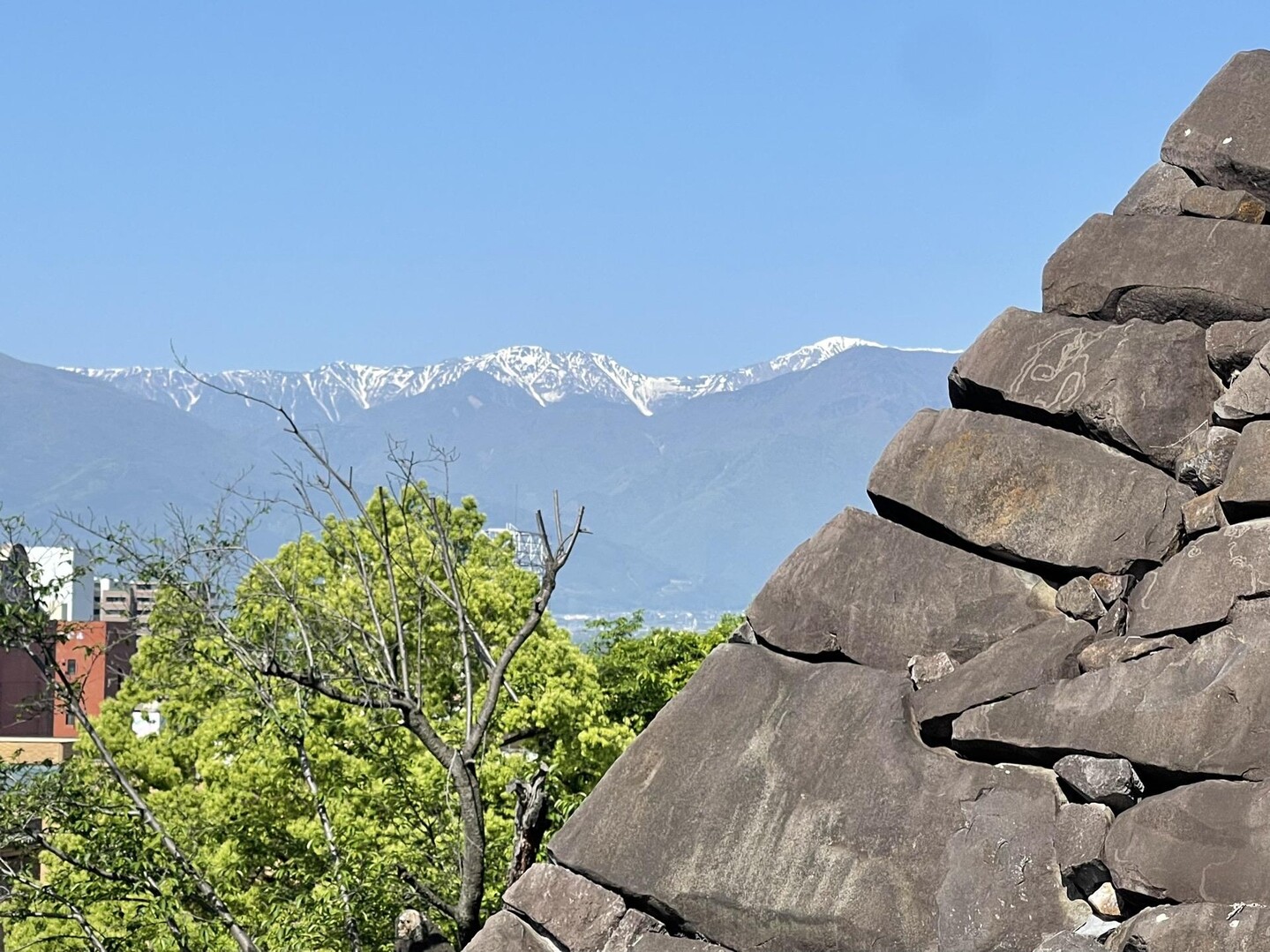 舞鶴城跡（甲府城）・藤村記念館 / shuさんの甲府市の活動データ | YAMAP / ヤマップ