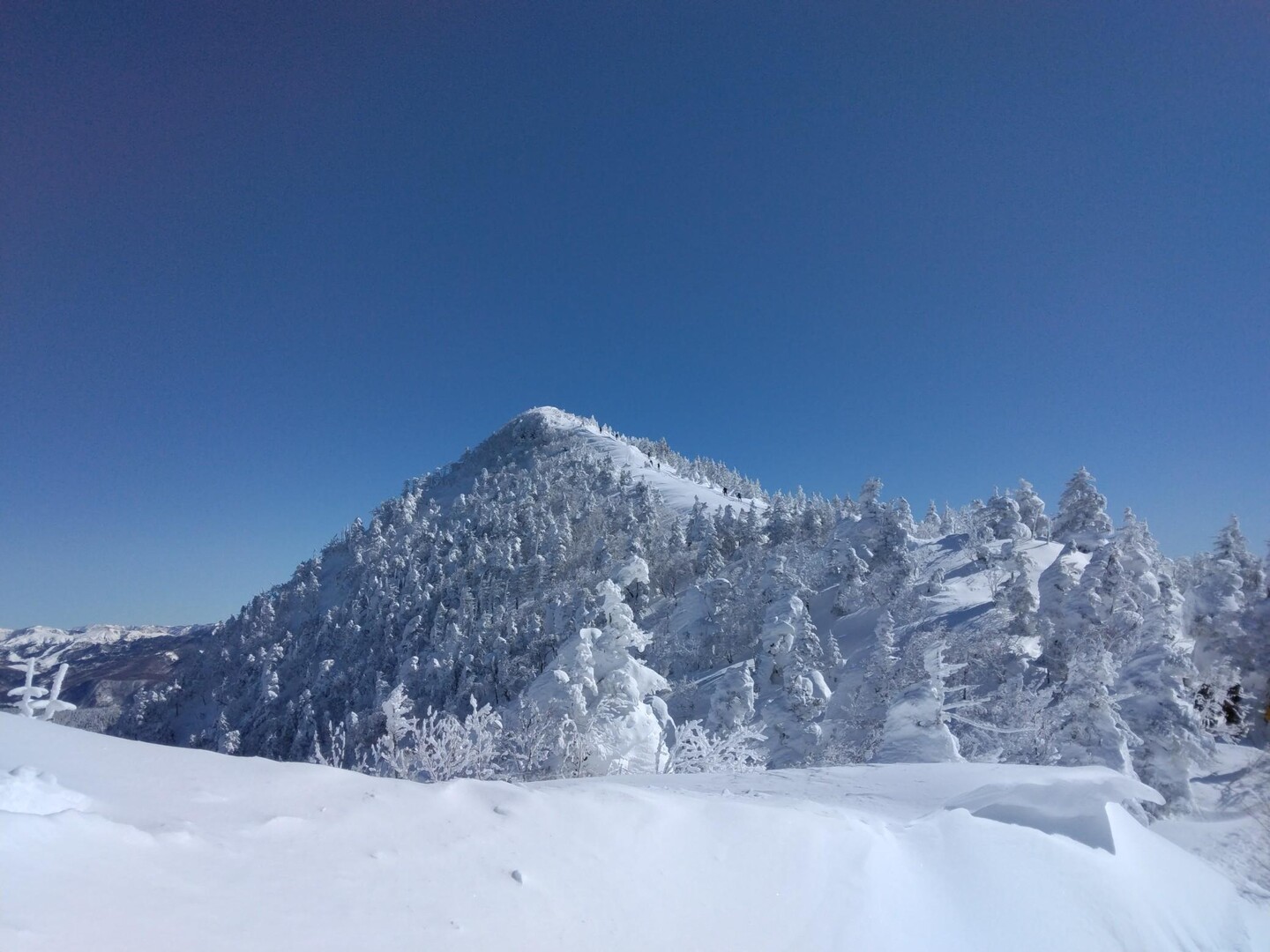 小四阿・中四阿・四阿山・根子岳 / てらちゃんさんの四阿山・根子岳の活動日記 | YAMAP / ヤマップ