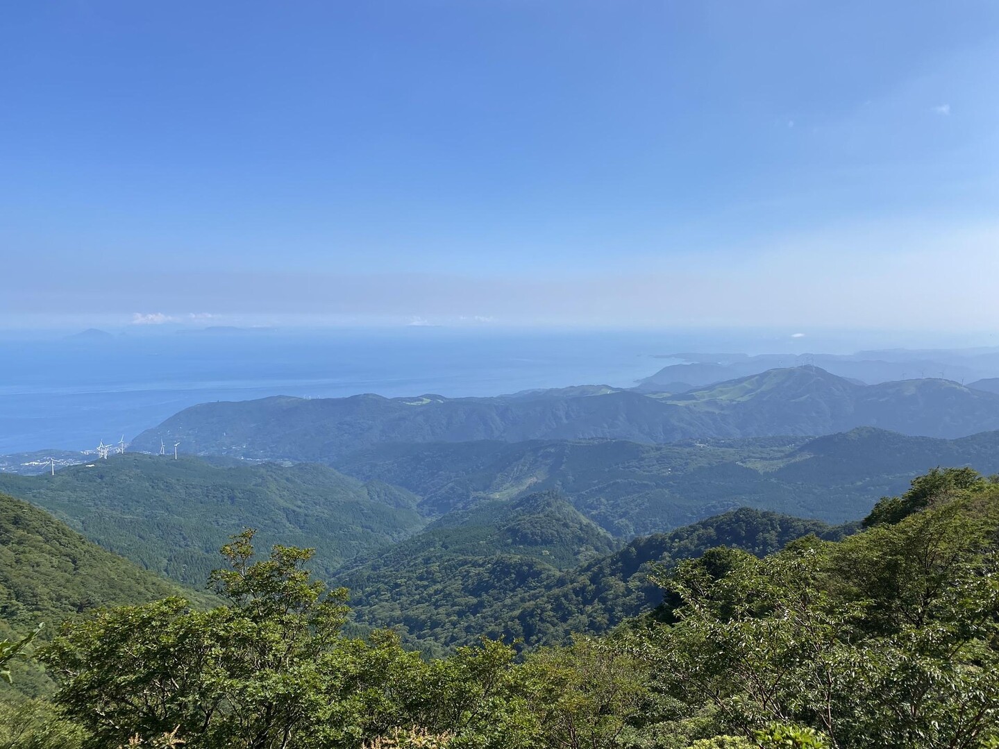 0mから天城山！ / でねさんの天城山・鉢ノ山・三筋山の活動データ | YAMAP / ヤマップ