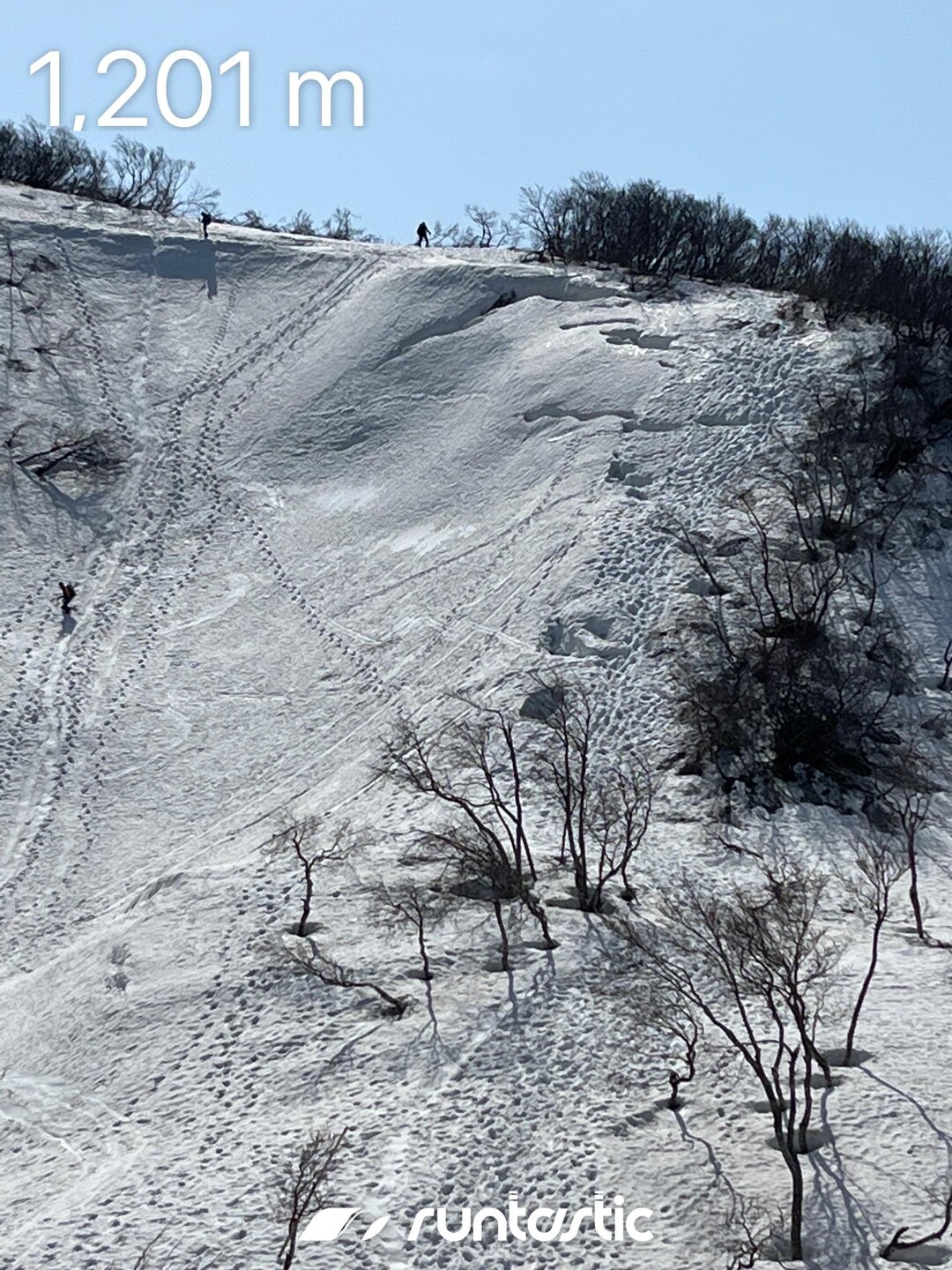 二王子岳〜好天で足元しっかり春の雪山サイコー / Natty Mt.さんの二王子岳の活動データ | YAMAP / ヤマップ