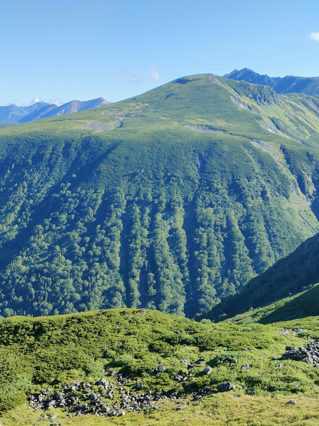黒部五郎岳 / きりHPさんの水晶岳・薬師岳・黒部五郎岳・鷲羽岳・三俣蓮華岳・湯俣の活動日記 | YAMAP / ヤマップ