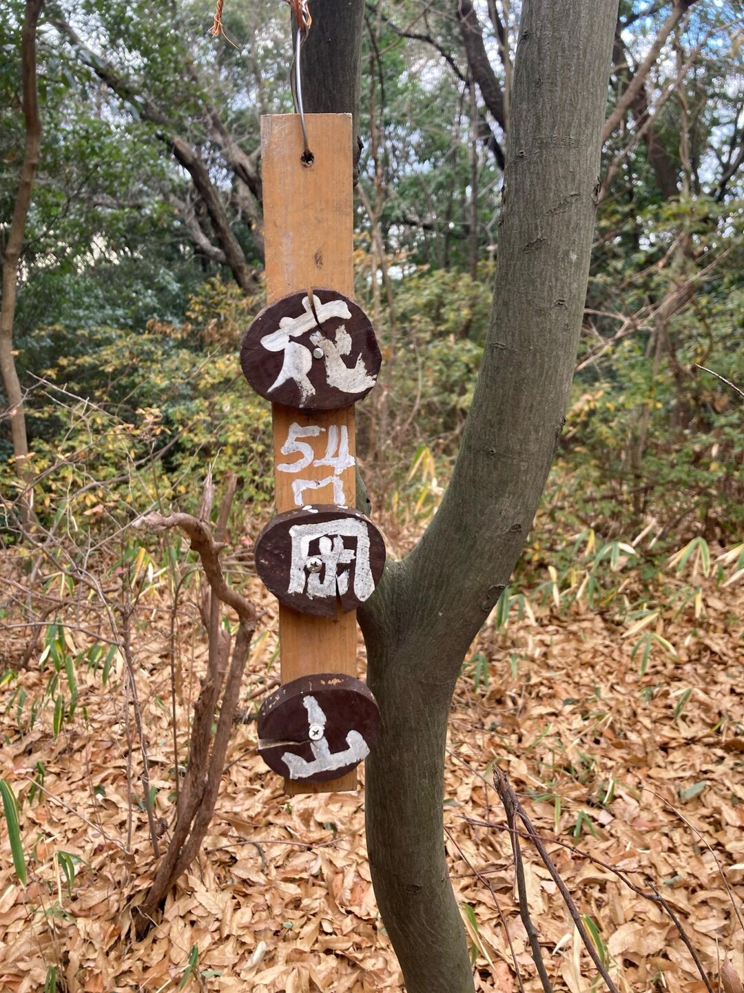 五里山・竹谷山・鬼ノ城山・鍋谷山・花岡山 / cocoaさんの生駒山・神津嶽・大原山の活動データ | YAMAP / ヤマップ