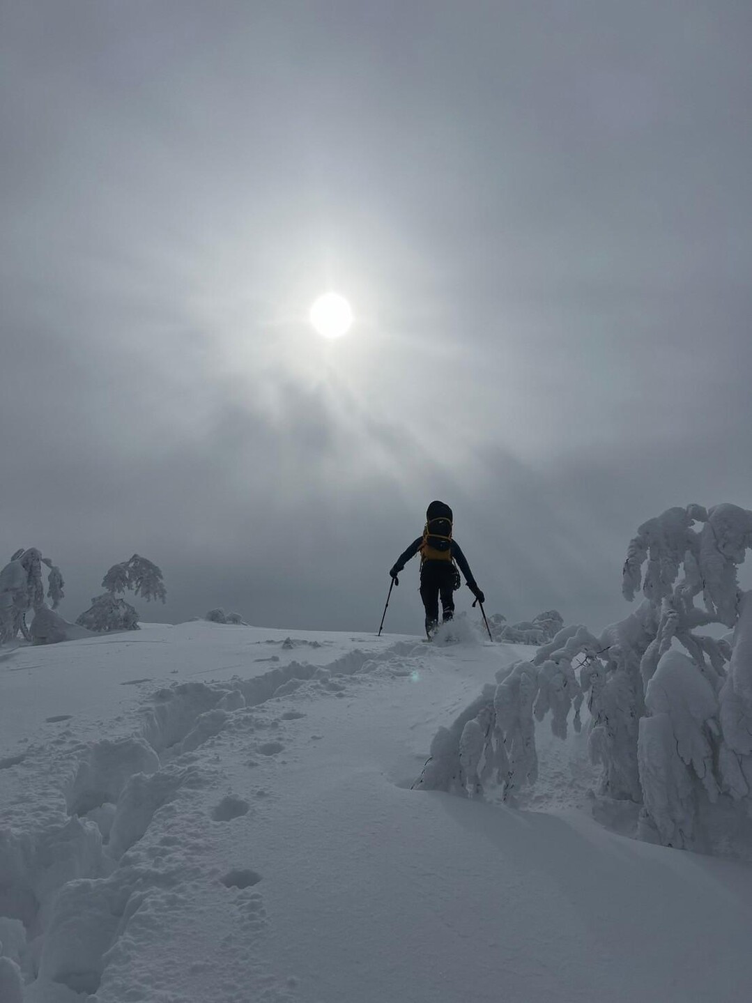 神秘的な大蔵山 / daitenさんの菅名岳・大蔵山・鳴沢峰の活動データ | YAMAP / ヤマップ