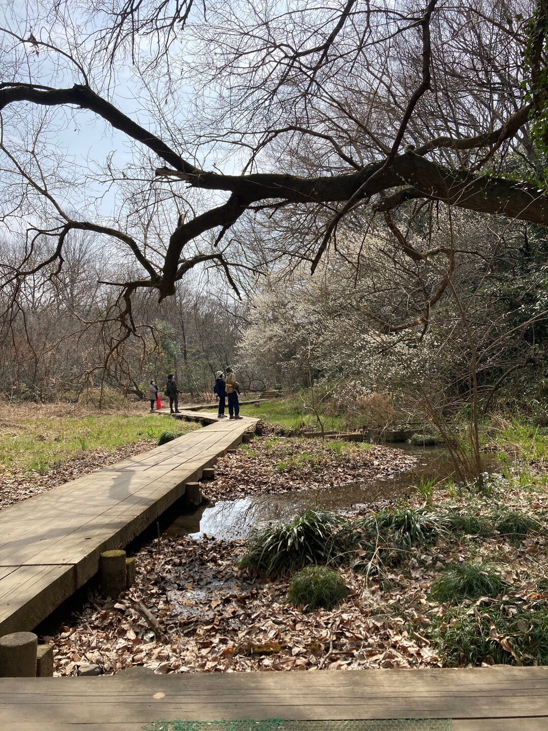 ウォーキング-2022-03-13 / Mr.wwYwwさんのウォーキングの活動データ | YAMAP / ヤマップ