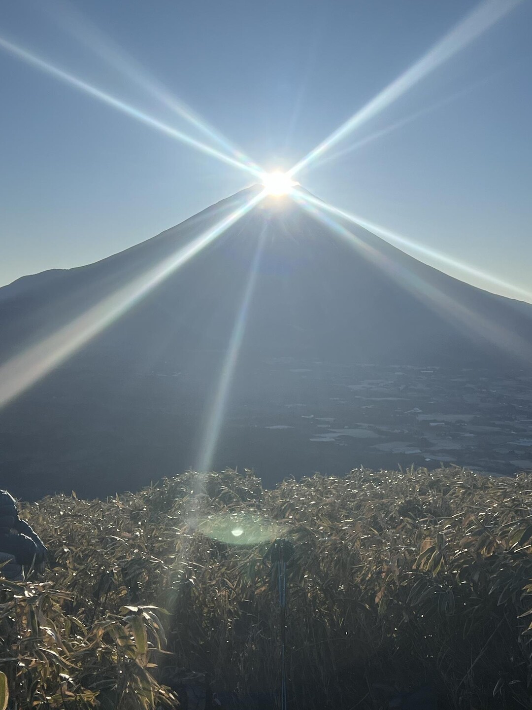 竜ヶ岳 / megさんの毛無山・雨ヶ岳・竜ヶ岳の活動データ | YAMAP / ヤマップ