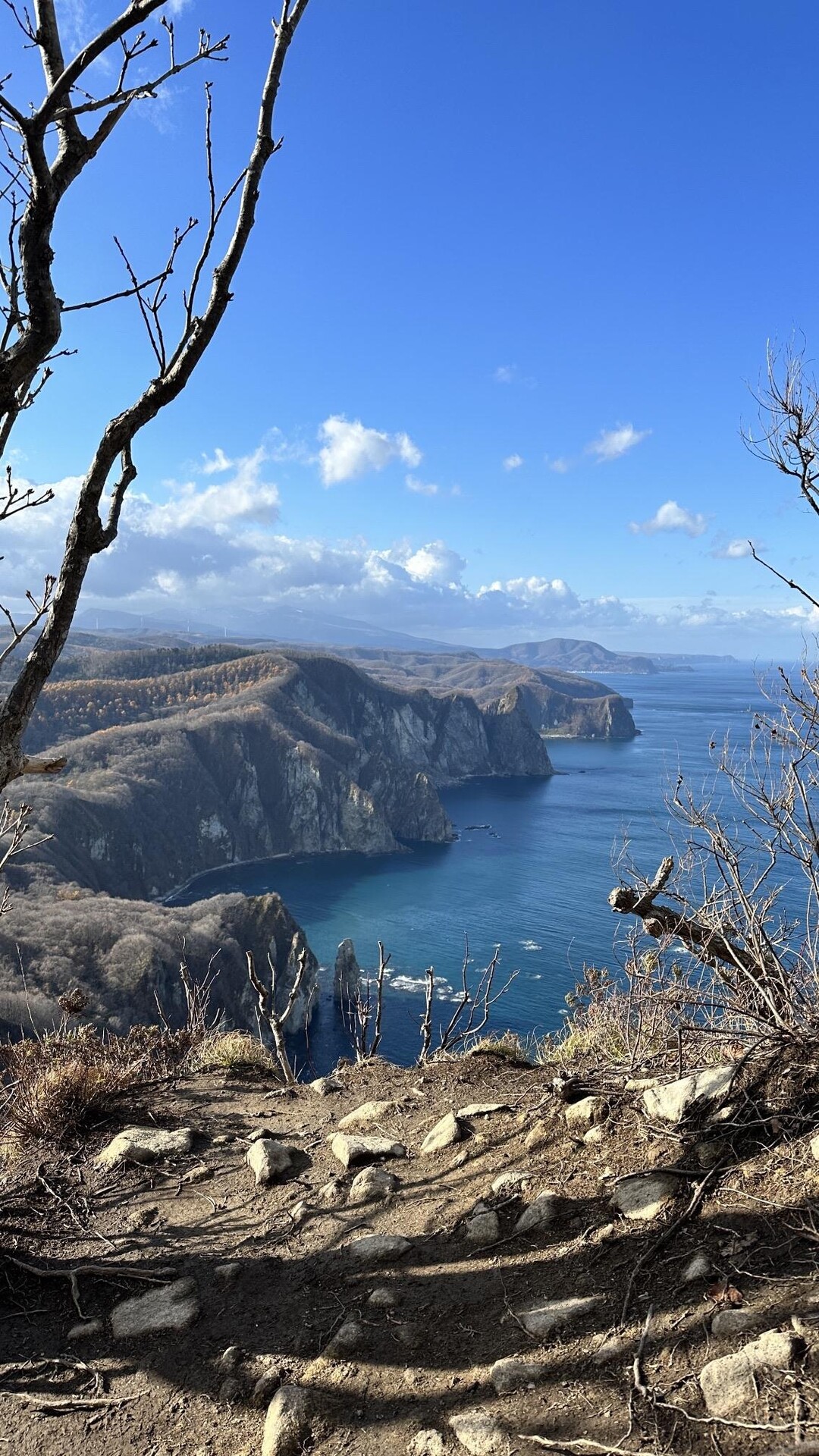 尻場山 / maaさんの尻場山の活動データ | YAMAP / ヤマップ