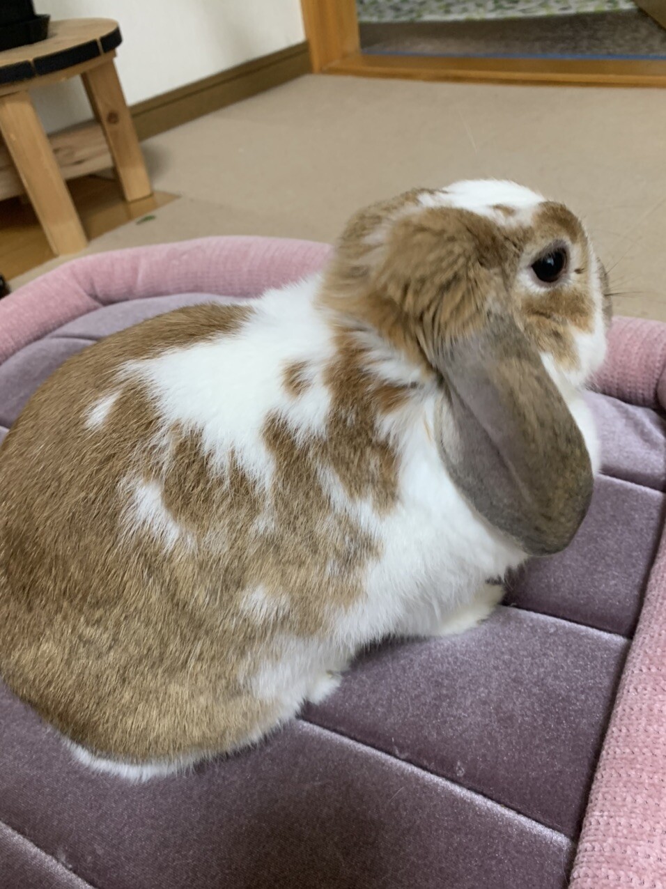 merumiのページ | YAMAP / ヤマップ