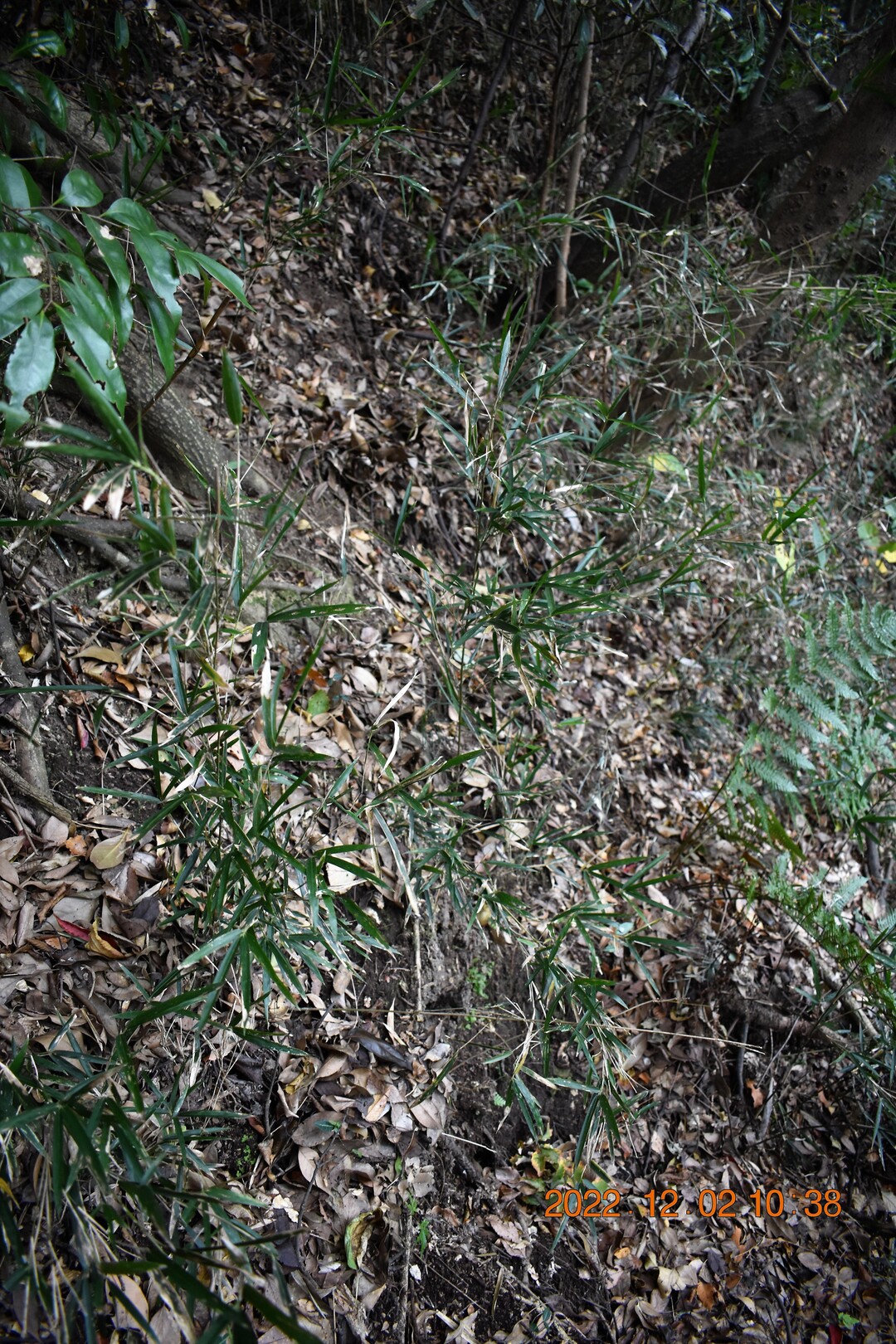 ピエール・HOSHIさんの投稿したフィールドメモ | YAMAP / ヤマップ