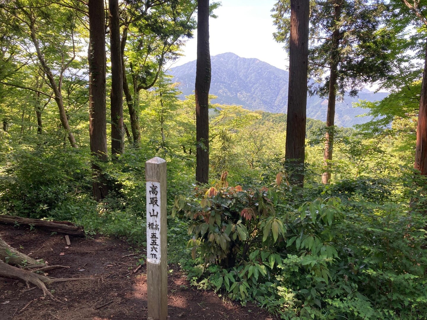 高取山@大山（神奈川）山系キツかった / smashaceさんの大山の活動日記 | YAMAP / ヤマップ