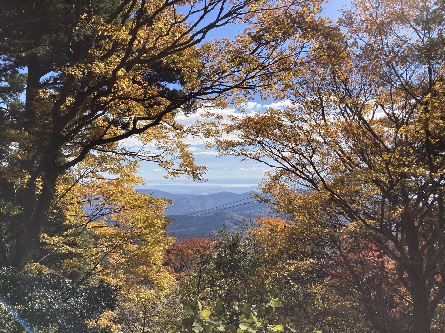 '24.11.29 筑波山 / SSさんの筑波山の活動データ | YAMAP / ヤマップ