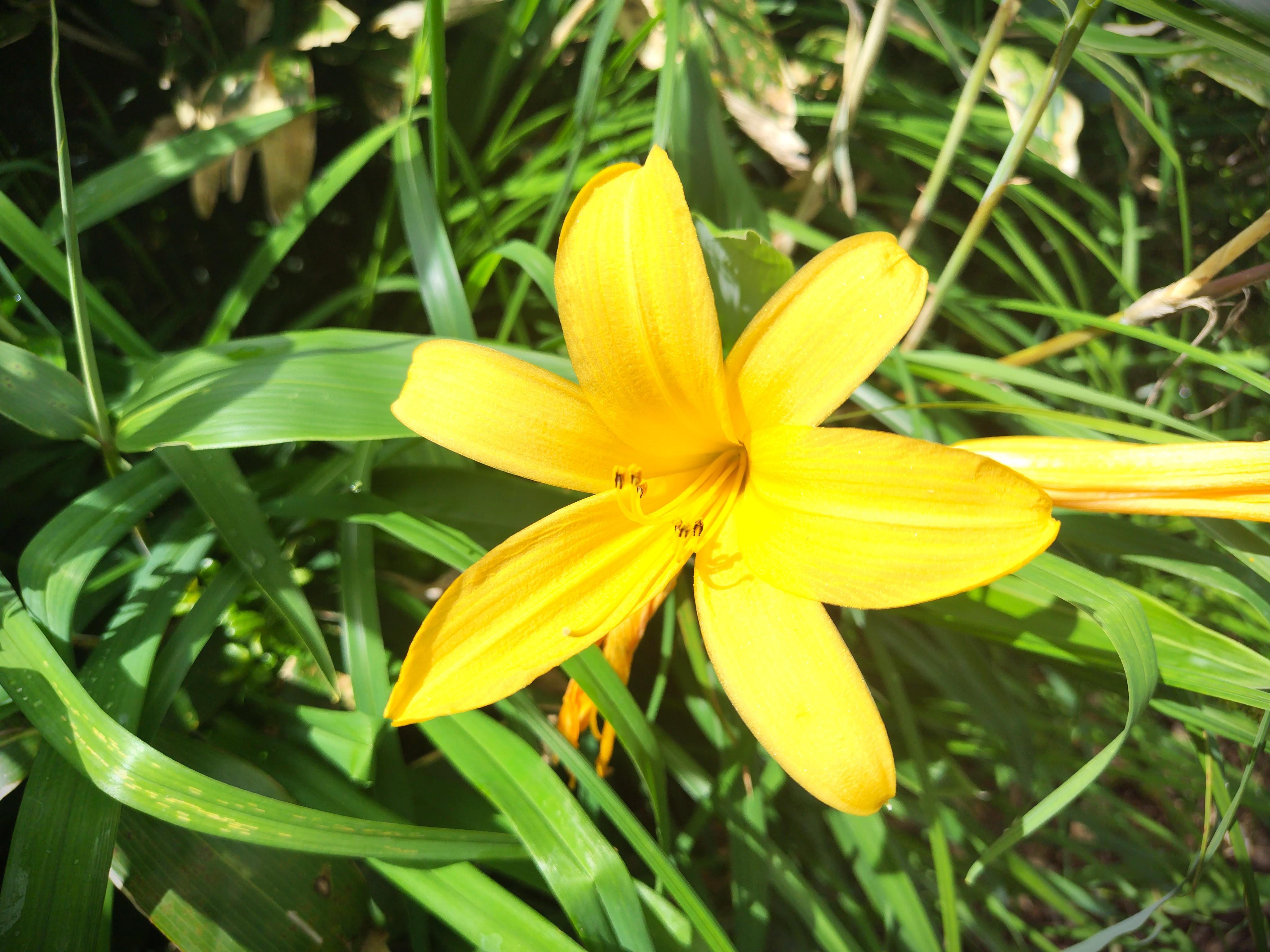 🐰赤兎山🐻 / TOMTOMさんの赤兎山・猪鼻山の活動データ | YAMAP / ヤマップ